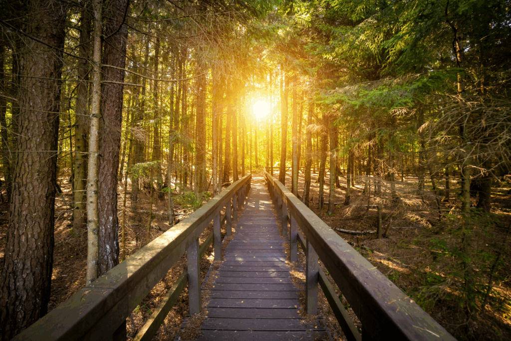 2040 Parks and Trails System - WSB