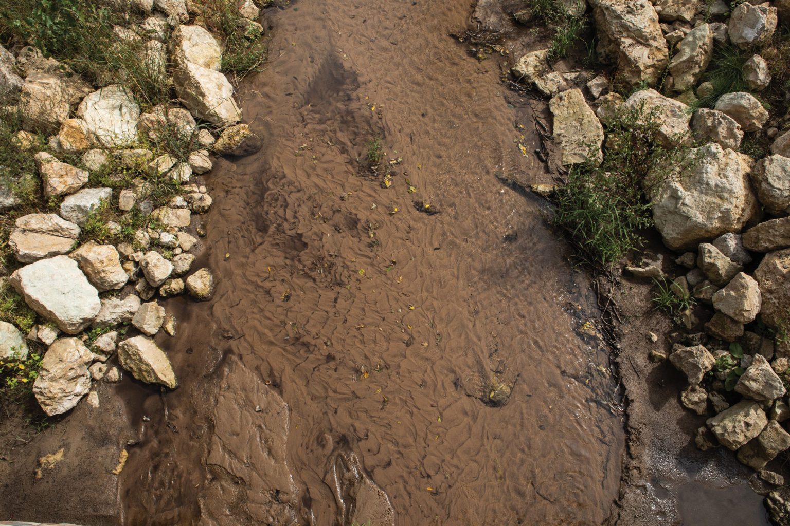 MPCA Releases Revised Soil Reference Values (SRVs) - WSB