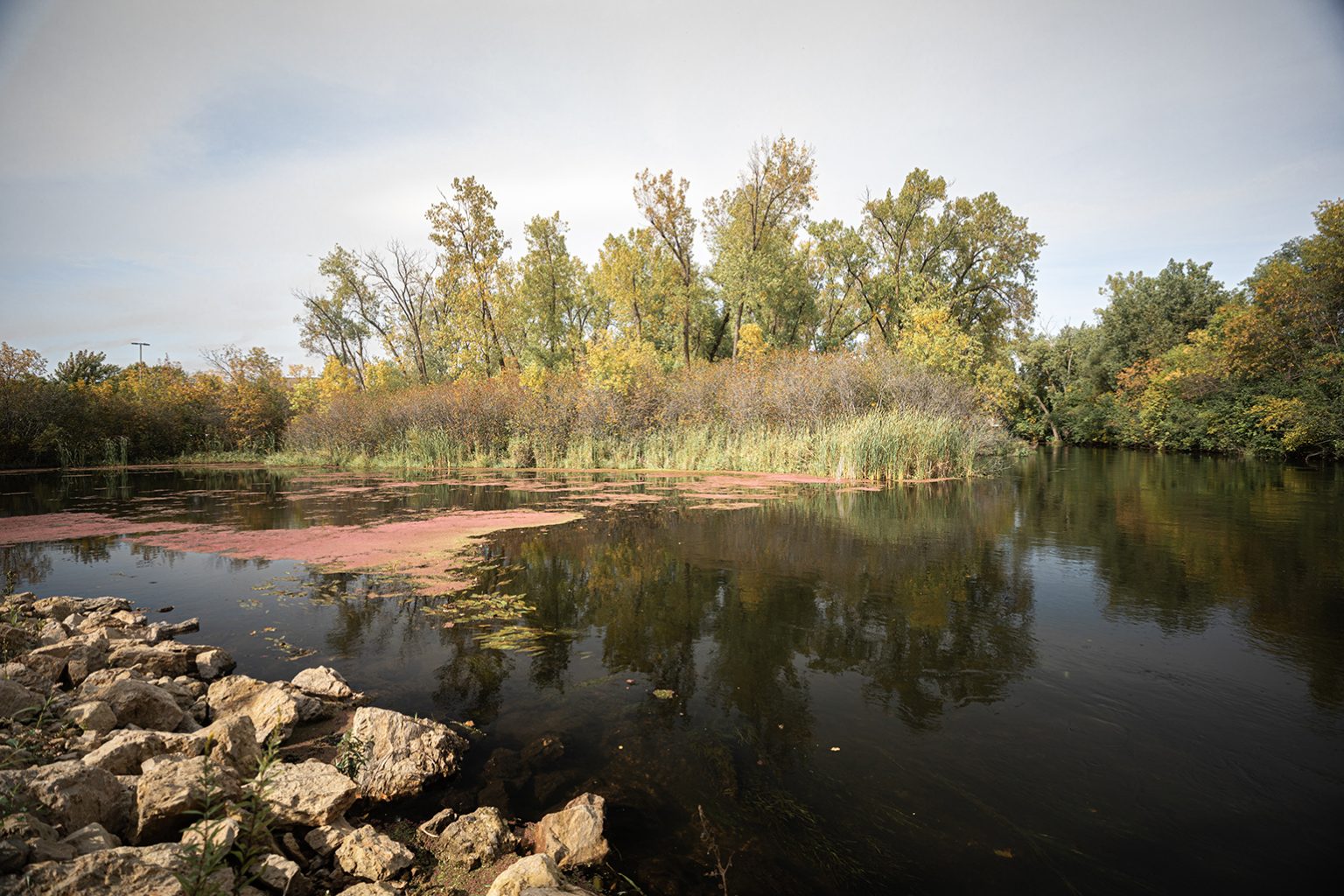 Assessing the effectiveness of pond sediment removal - WSB
