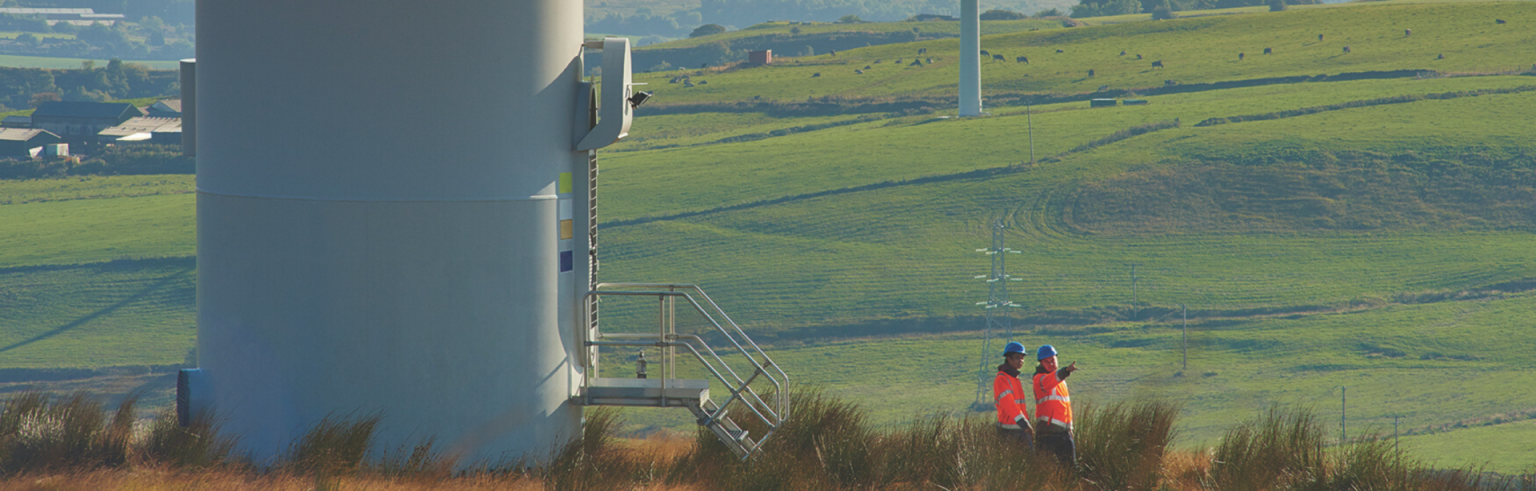Environmental impacts of wind farm development - WSB